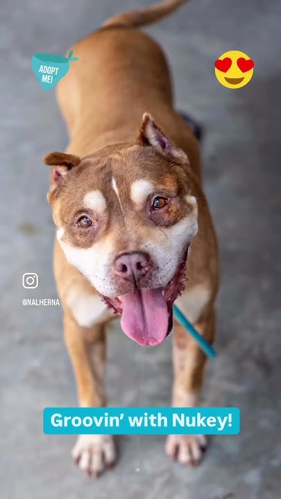 Groovin’ with Nukey! - YouTube