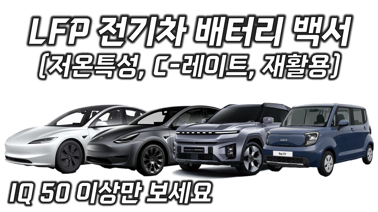 누구나 이해하기 쉬운 LFP 전기차 배터리 (feat. C-레이트, 재활용, 저온 특성, 테슬라 모델3, 모델Y, 레이EV, 토레스EVX) - YouTube