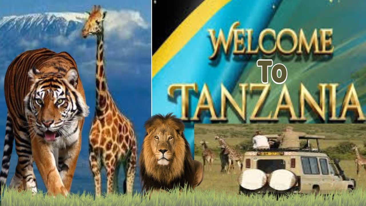 Welcome To Tanzania - Karibu Tanzania#RoyalTour - YouTube