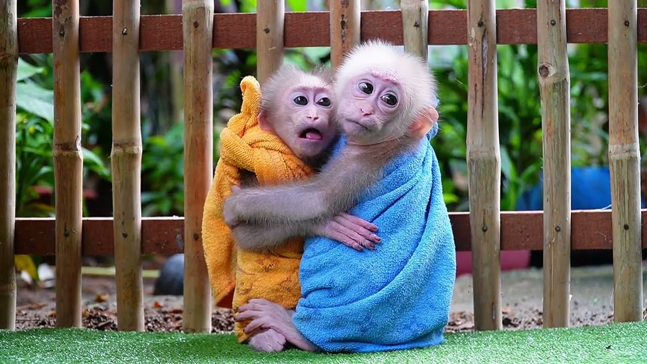 Sweet Action Aroy Love & Take Care Kapov Instead Mom - YouTube