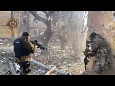 Chechesi v ukraina vayenni opiratsa 1
