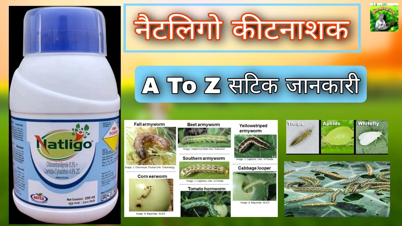 natligo insecticide natco ! natco insecticide full information ...