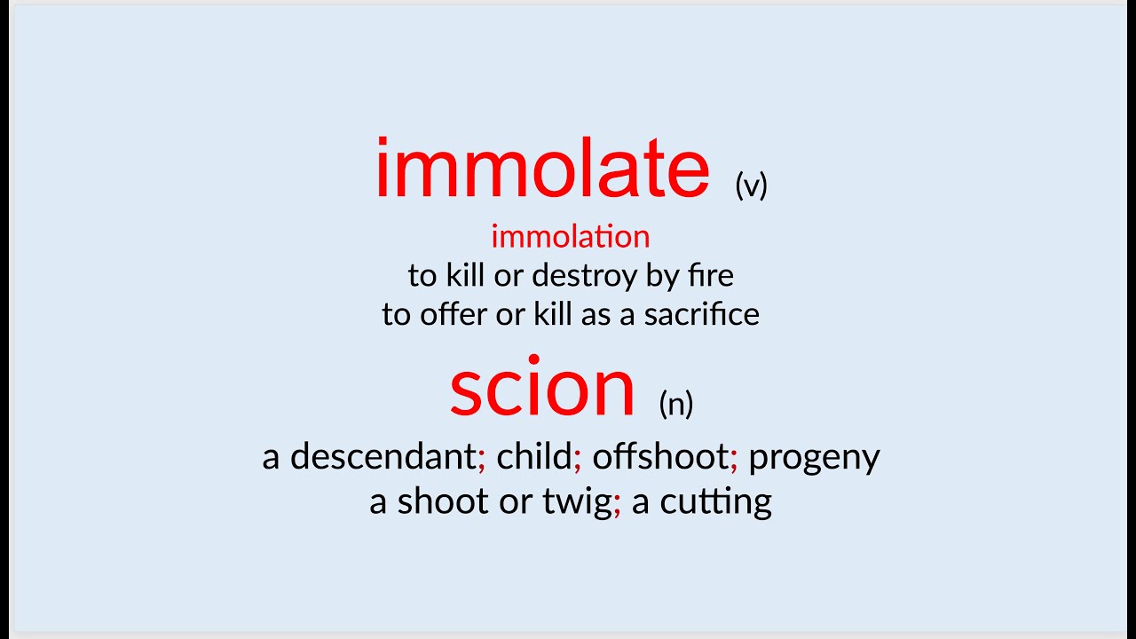 immolate & scion - YouTube