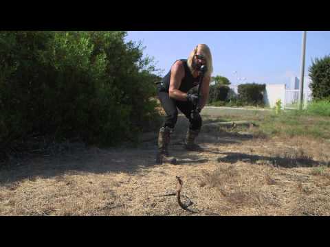 Cold Steel - African Walking Stick