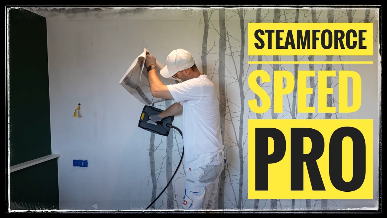 Mustertapete ablösen Wagner Steamforce Speed Pro - YouTube