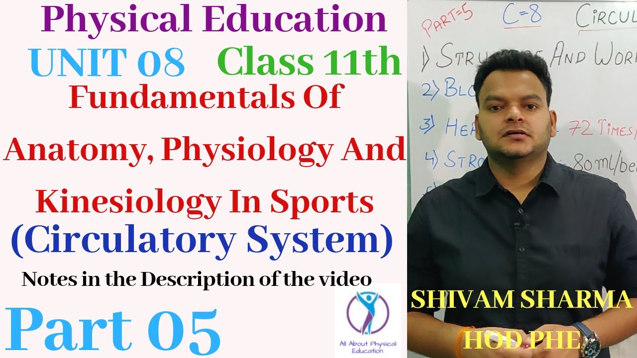 Fundamentals Of Anatomy Physiology And Kinesiology In Sports Part 05 Fundamentals Of Anatomy Physiology And Kinesiology In Sports Part 05