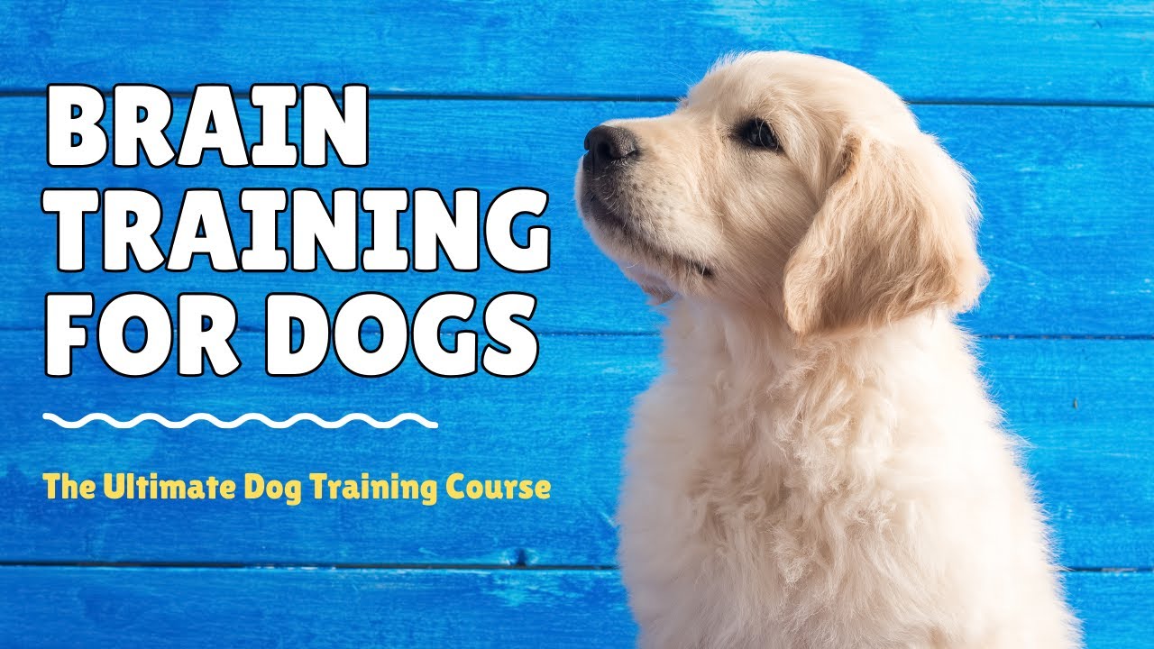 Brain Training for Dogs - Unlock Your Dog's Hidden Intelligence with Brain Training for Dogs 🐶 ...