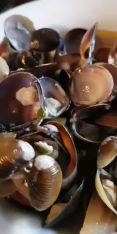 Yummy Tulya #shorts #shellfish - YouTube