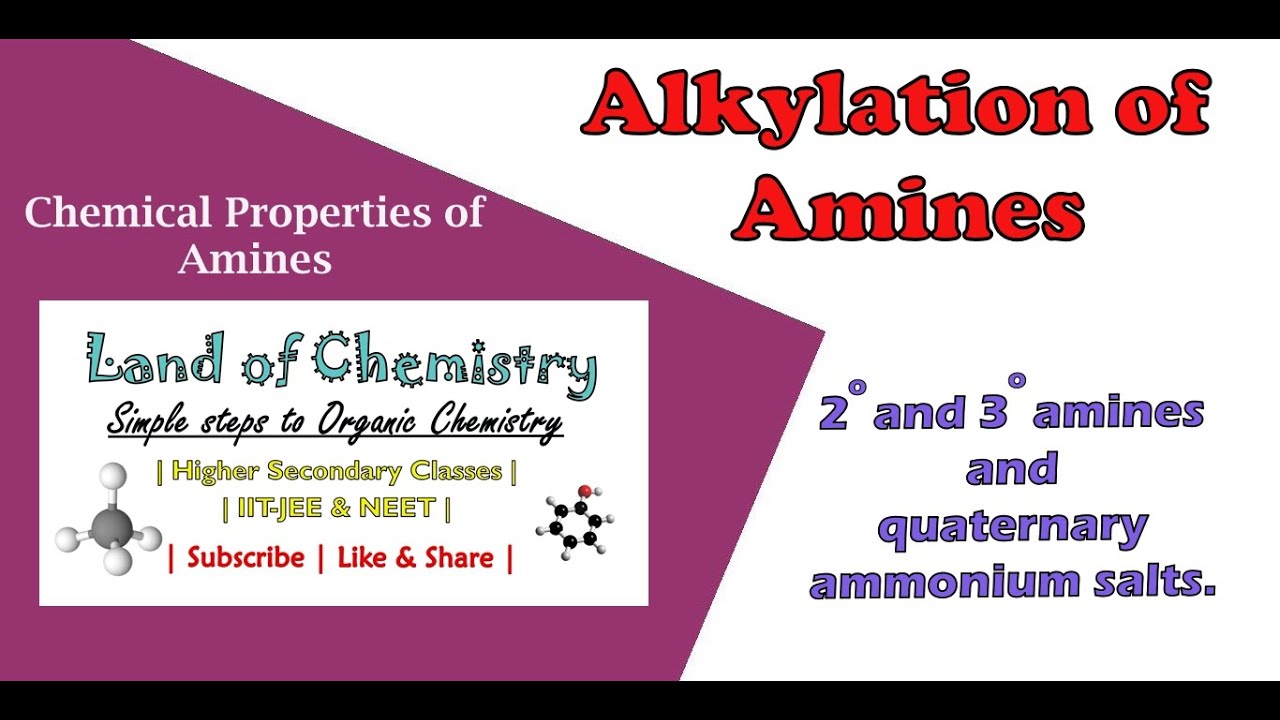 Alkylation of Amines | Methyl amine | Secondary, Tertiary & Quaternary ...