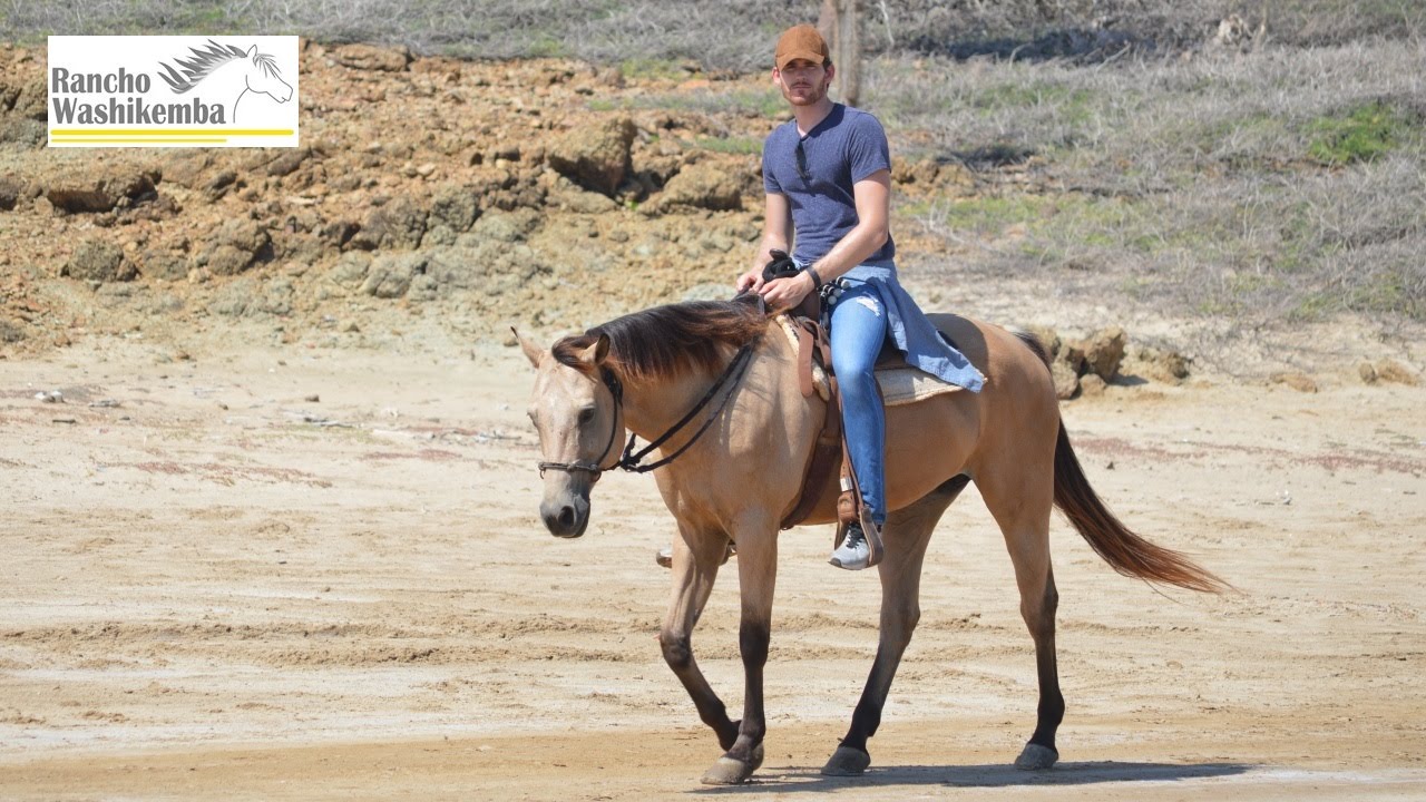 Erik Conover & Jessica Clements at Rancho Washikemba horse ranch ...