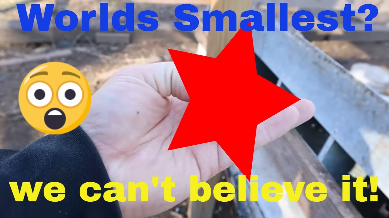 WORLDS SMALLEST CHICKEN EGG!? - YouTube