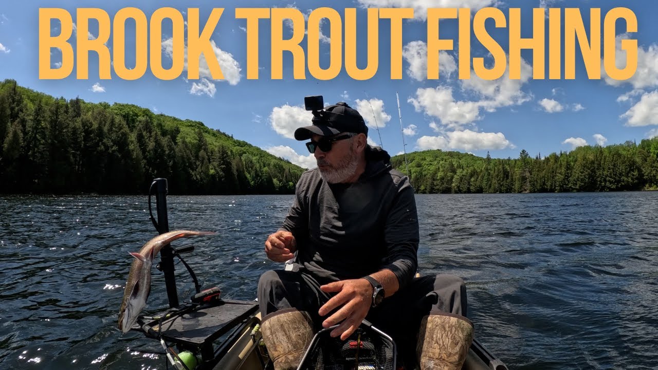 Spring Brook Trout Fishing in small northern remote back lakes - YouTube