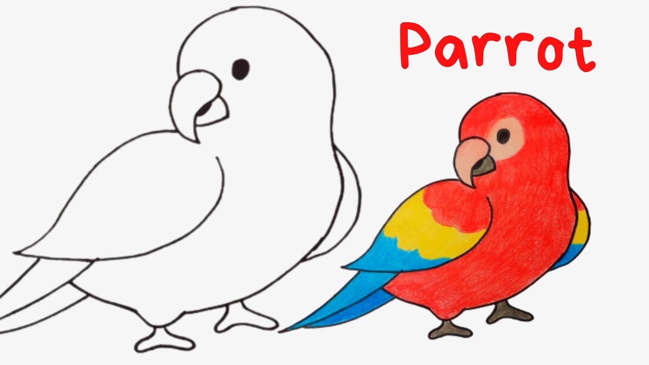 How to Draw a Cute Parrot Super Easy - YouTube