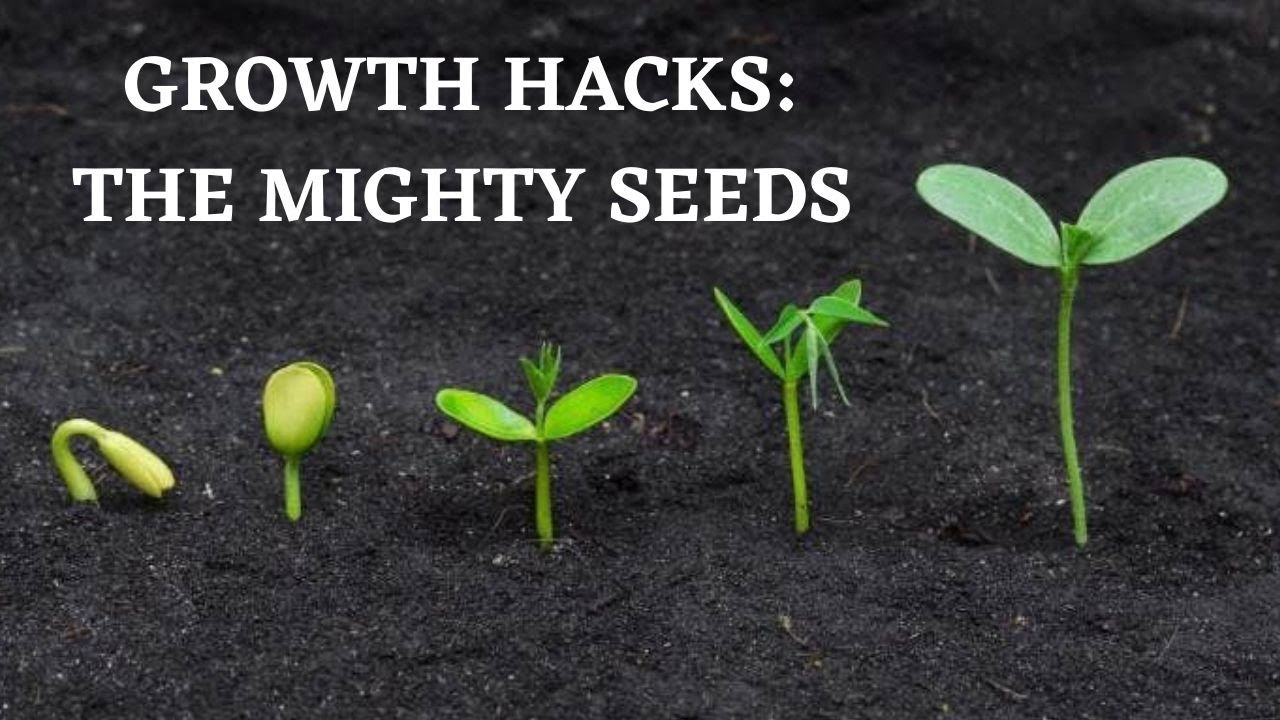 Growth Hacks The Mighty Seeds - YouTube
