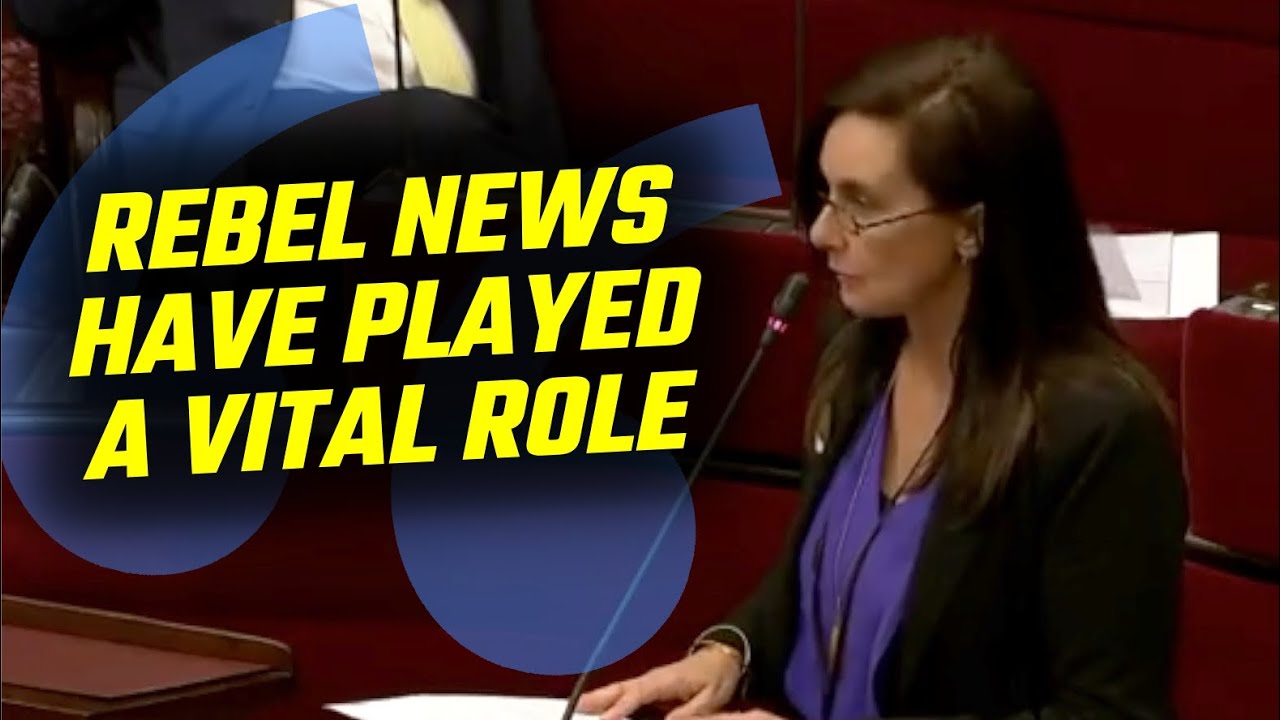AUSSIE HERO: MP demands freedom of press for Rebel News in Parliament ...