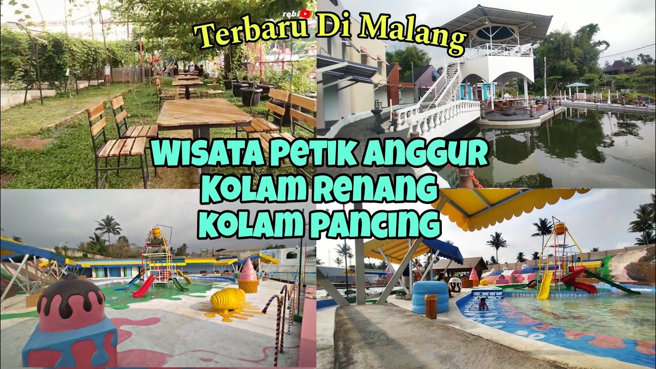 GAMMA GRAPE EXPERIENCE PAKIS MALANG, WISATA PETIK ANGGUR & KOLAM RENANG ...