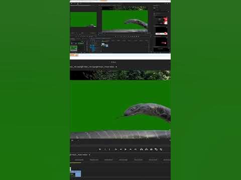 How to Green Screen | Adobe Premiere Pro 2024 - YouTube