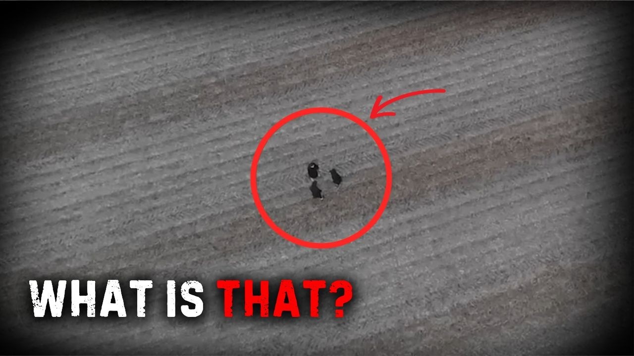 Scary Creatures Caught On Drone Camera That Will Scare You - YouTube