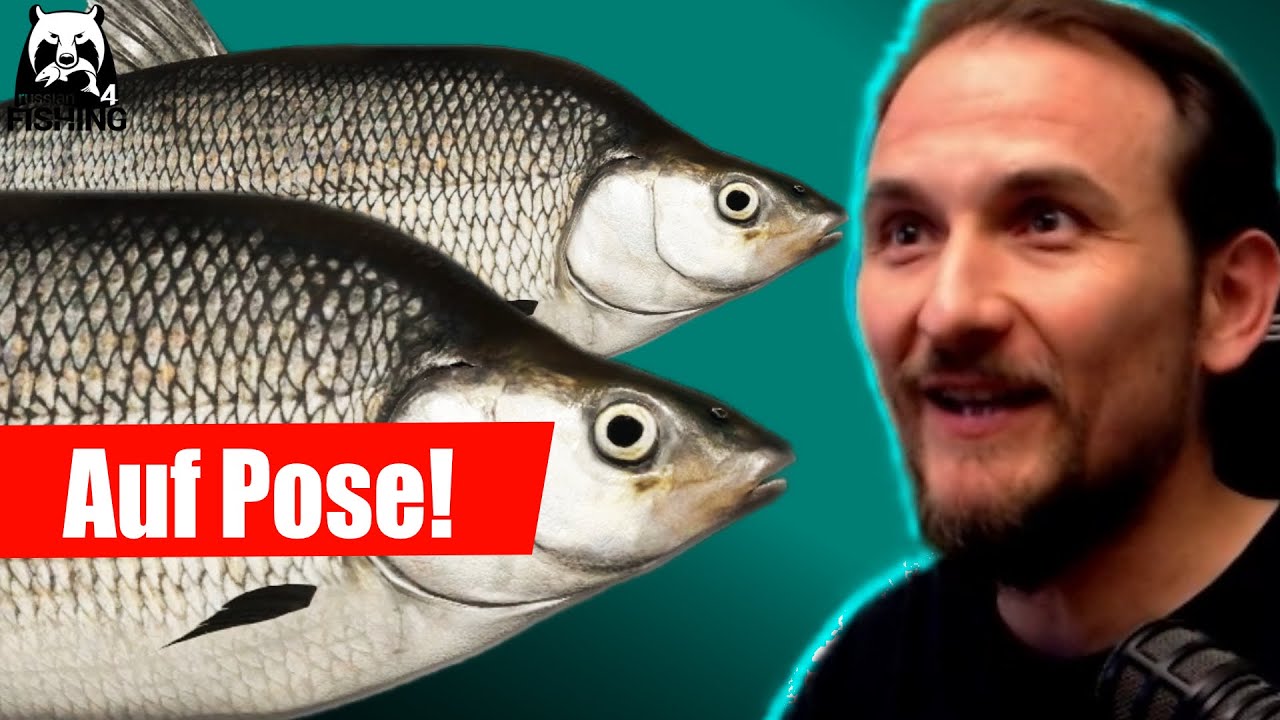 Russian Fishing 4 - Tunguska - Bodenrenken und Muksun - YouTube