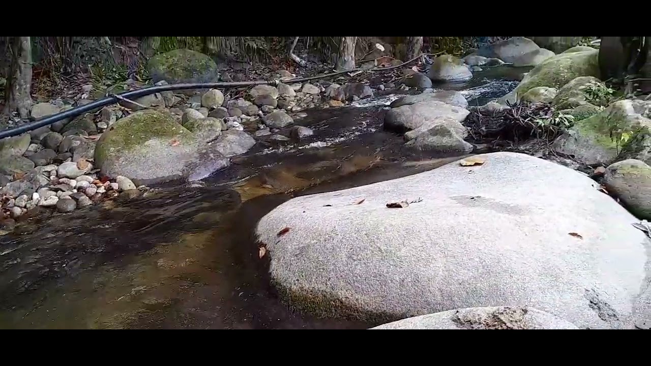 Draco Farm Camp@campersham... - YouTube
