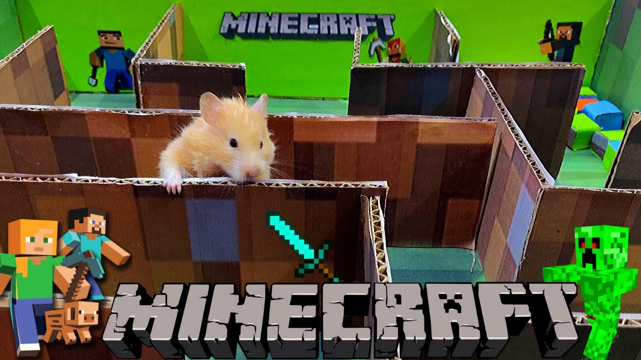 🐹 Hamster in a 6-Level MINECRAFT MAZE | Pool maze for Hamsters - YouTube