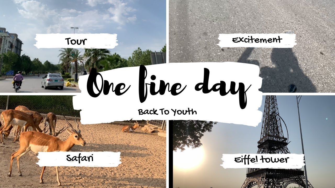 One Fine day | Daily Routine ( Vlog-1 ) - YouTube