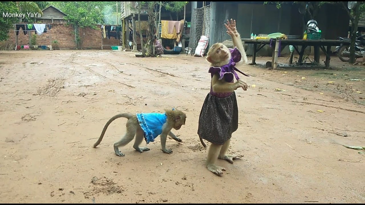 [ YaYa Dancing ] So Sweet Dancing My Princess YaYa - YouTube