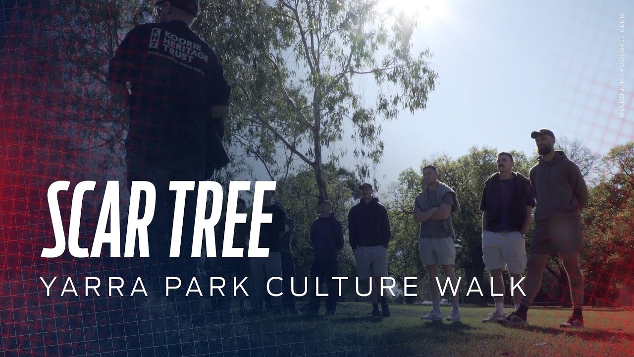 A Walk Through History | Scar Tree - YouTube