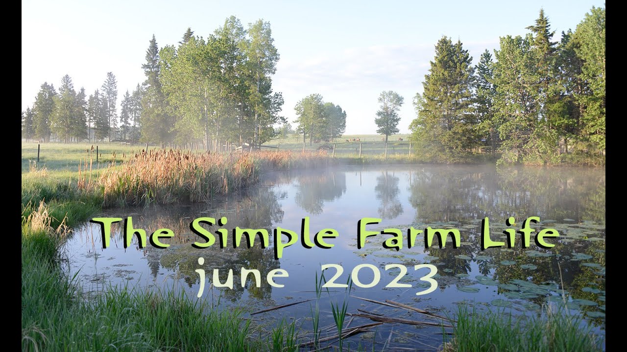 The Simple Farm Life - June 2023 - YouTube