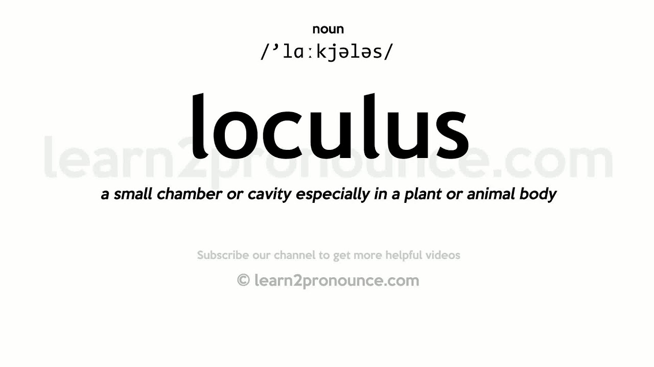 Pronunciation of Loculus | Definition of Loculus - YouTube