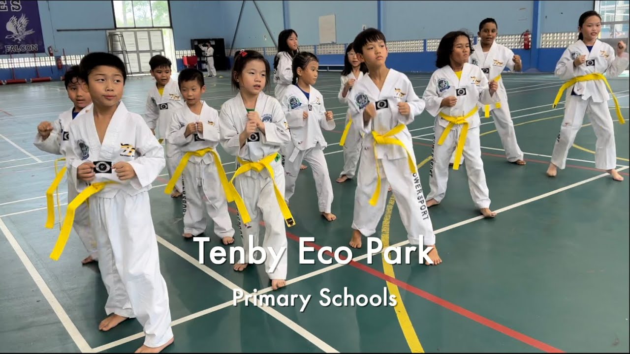 Tenby Eco Park, TIS Primary, 22 Jun 2023 - YouTube