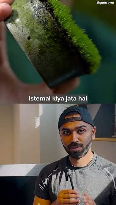 Moss Cement is new nature based solution to concrete jungles # ...