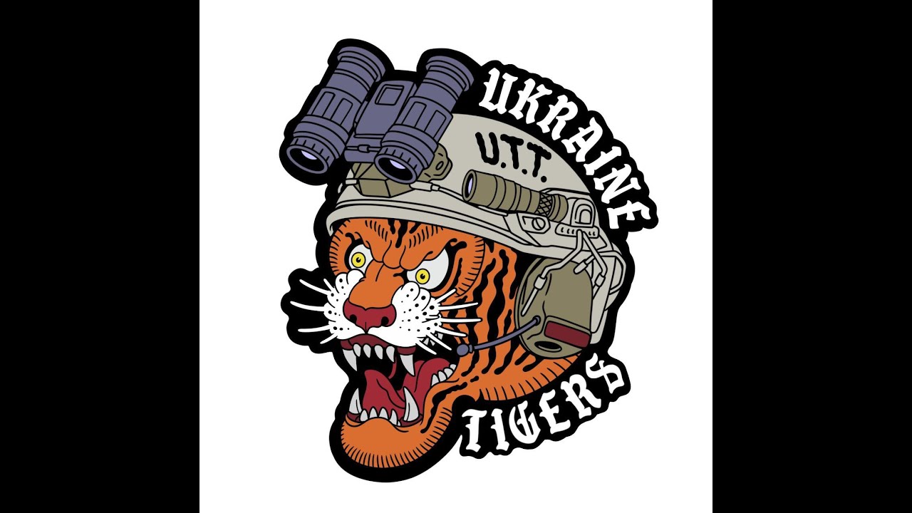 Огляд плитоноски Crye Precision AVS - YouTube