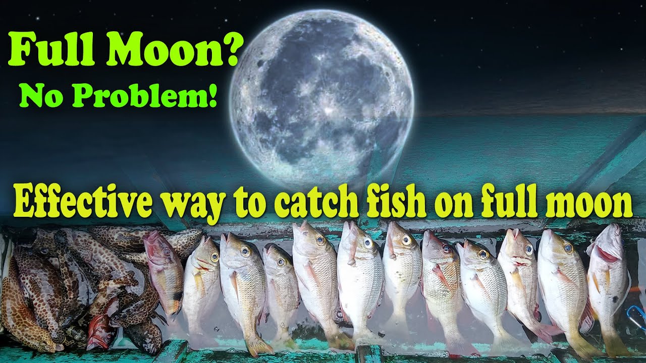 EFFECTIVE WAY TO CATCH FISH ON FULL MOON | FULL MOON FISHING | GUIMARAS ...
