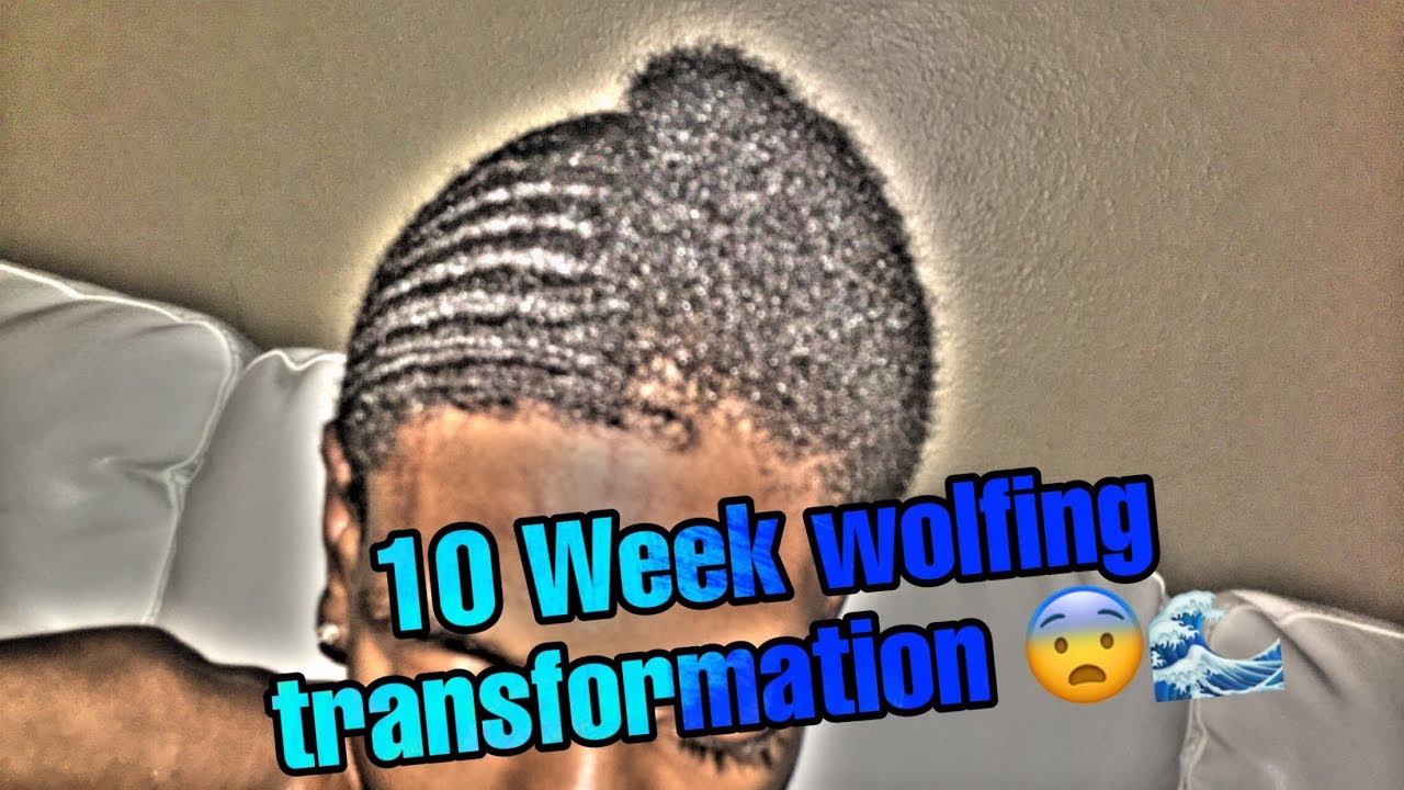 360Waves: INSANE Transformation Ending 10 Week Wave Woof!! - YouTube