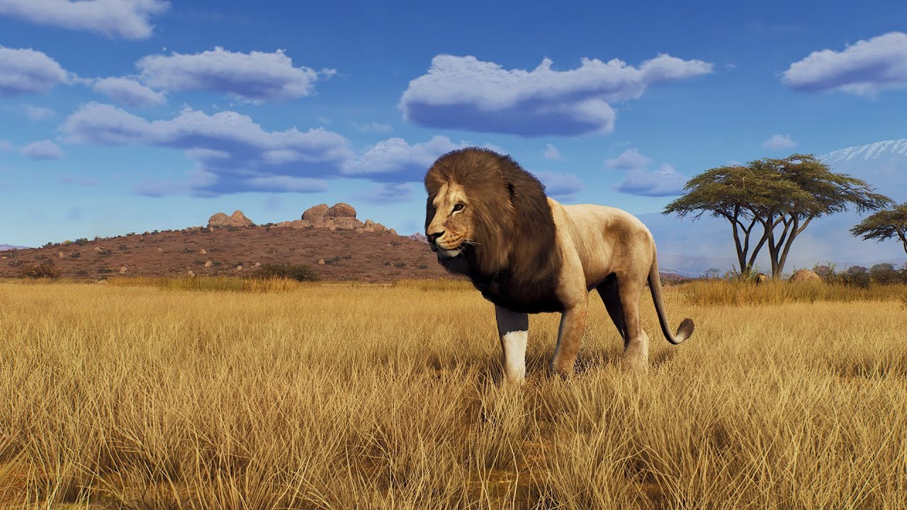 Way Of The Hunter: 5 Star Lion (w/ the Compound Bow) - YouTube