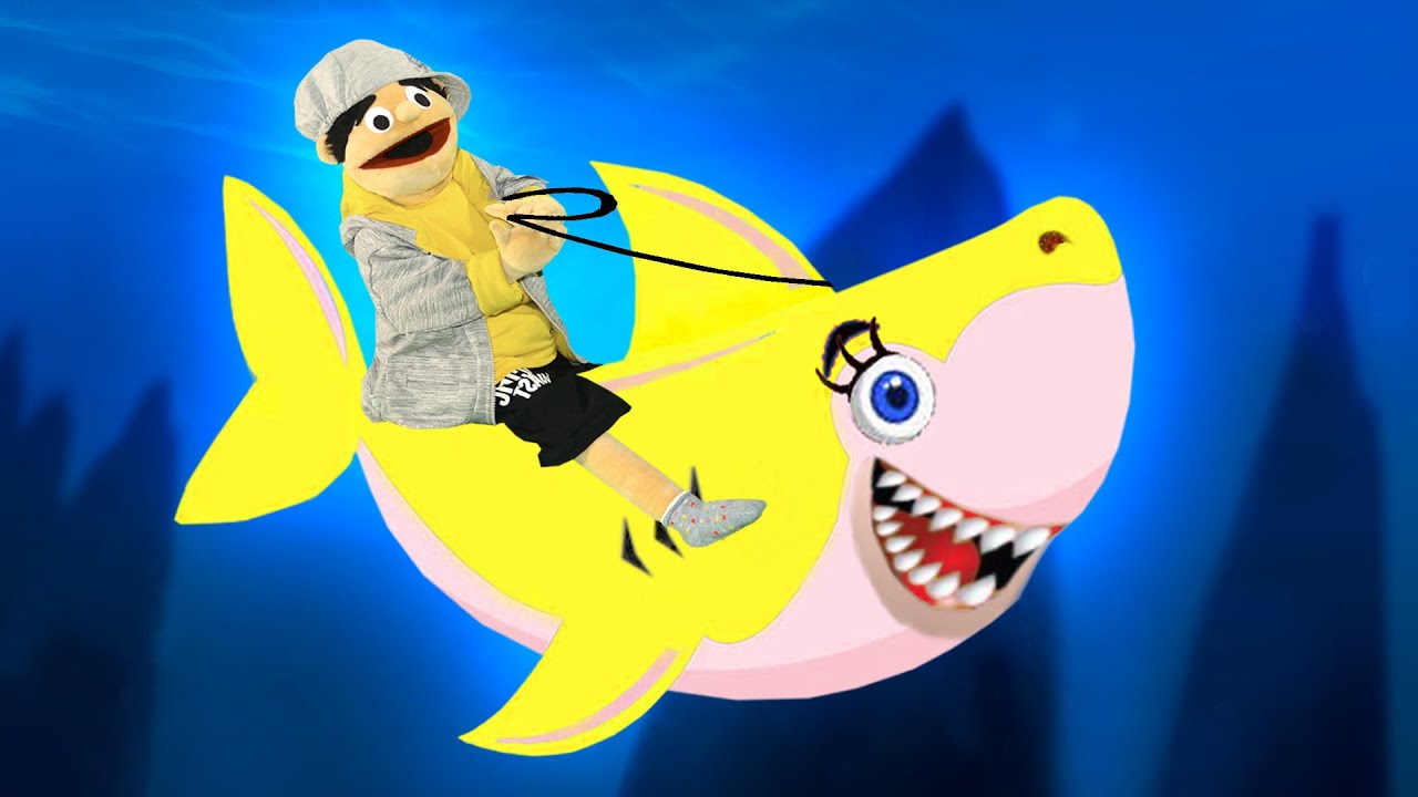 Baby Shark Dance | Baby Shark Doo Doo Doo Song - YouTube