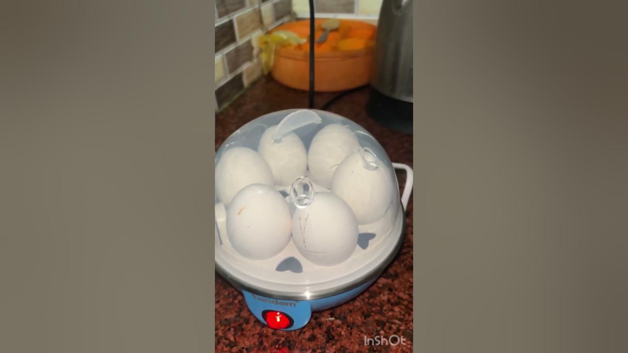 Egg boil kaise kre? Kya egg boiler Sahi hai? - YouTube
