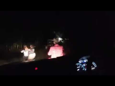 Hopevale Fights 2019 - YouTube