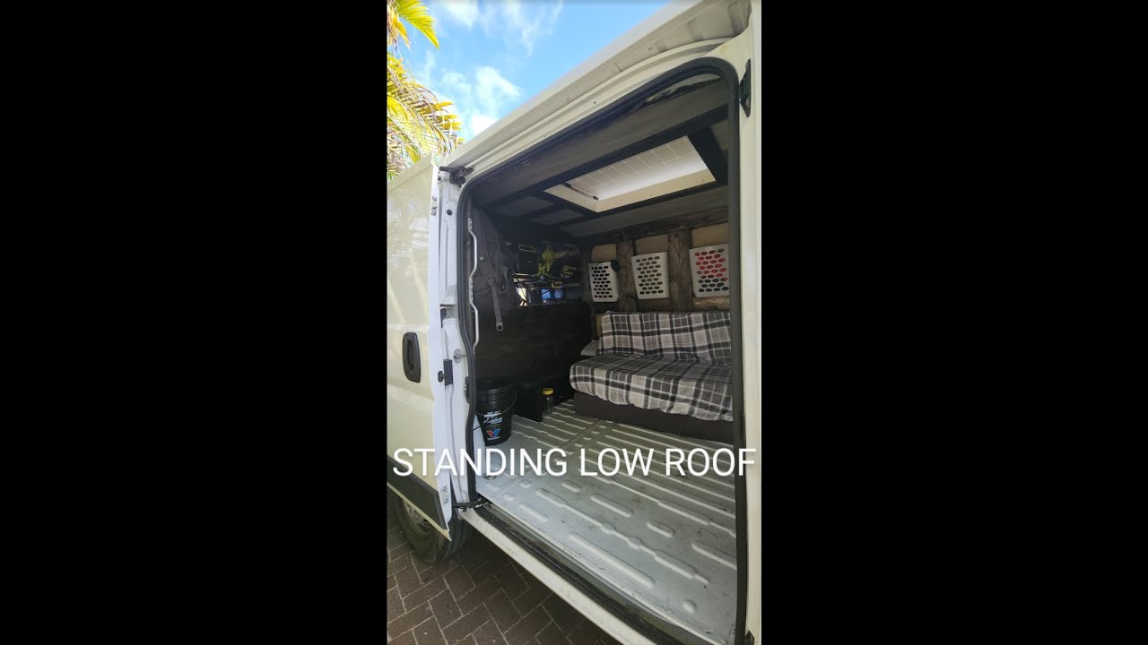 New van . Custom Promaster 118 Low roof I can stand in! - YouTube