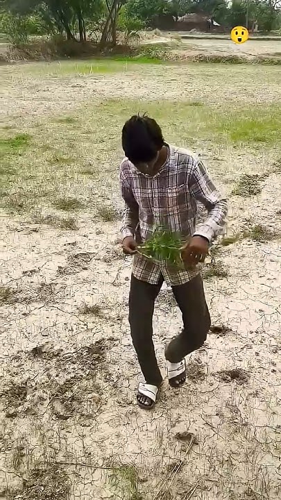 omg ye kya ho gaya 😮😮 #funny #comedy #viralvideo #shorts - YouTube