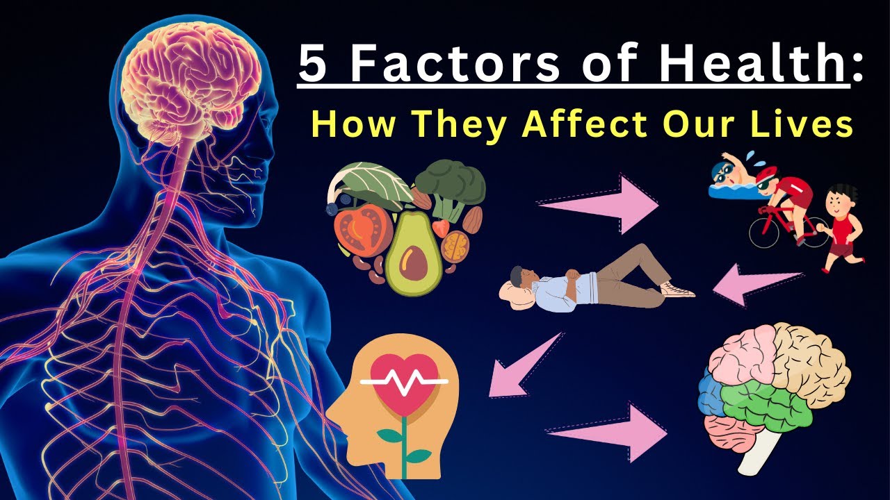 Five Factors of Health: How They Impact Your Health - YouTube