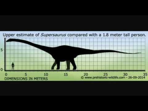 Top 10 Popular Sauropods Dinosaurs - YouTube