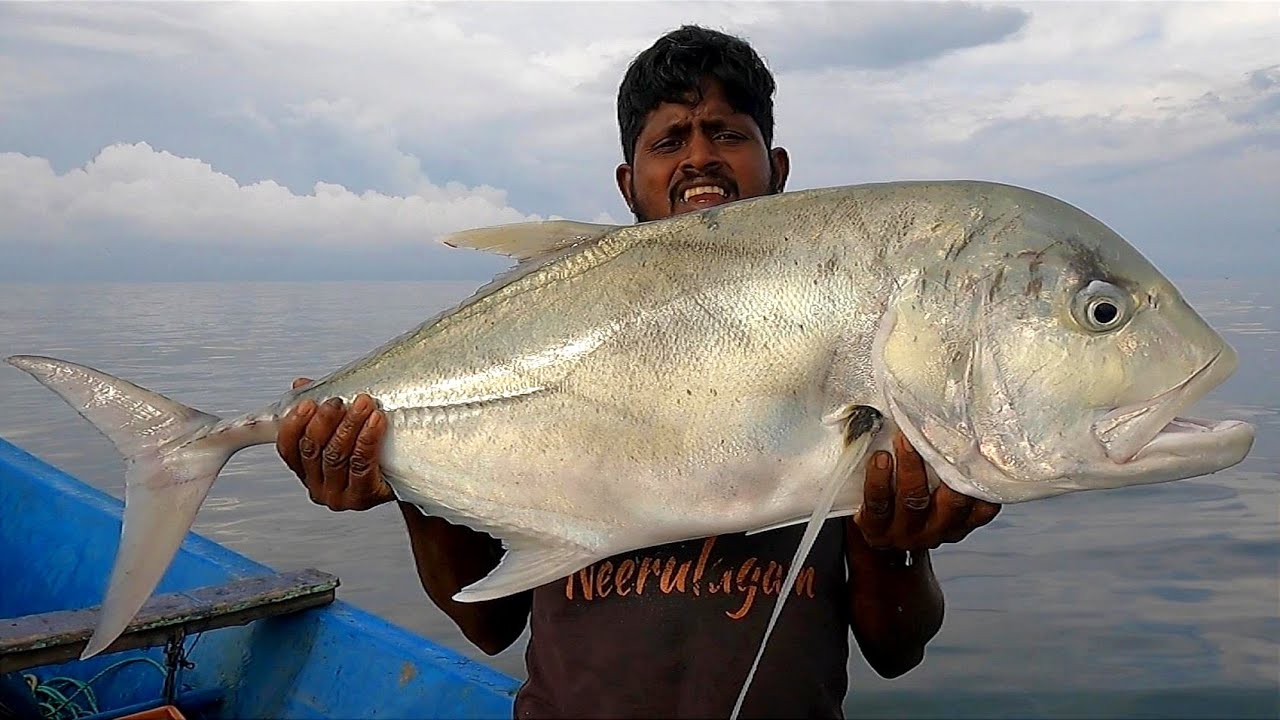 Catching Grouper Fish, King Fish & Giant Trevally Fish in Sea - YouTube
