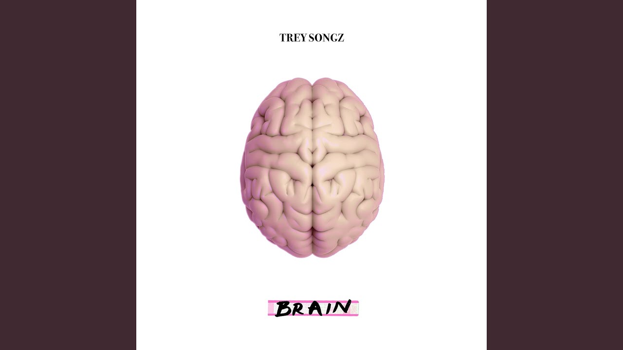 Brain - YouTube Music
