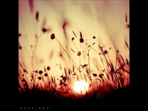 Şehidler Kervanı - Doğ İslam Güneşi