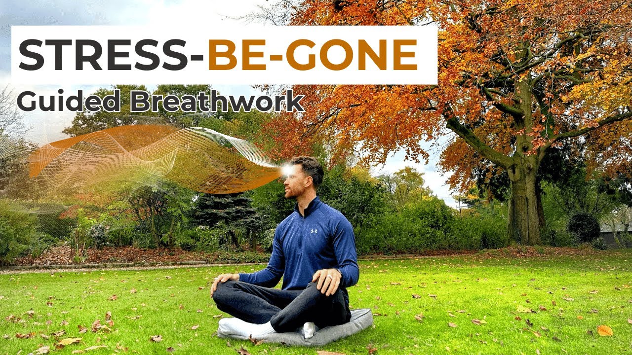 Relieve Stress | Combat Modern Day Stressors | Guided Breathwork - YouTube