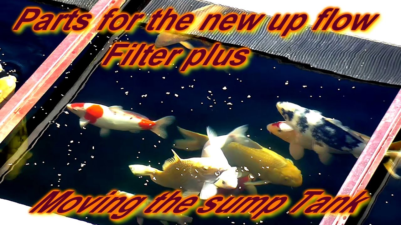 ***DIY KOI POND FILTER*** UP-FLOW EASY BUILD*** GRAVITY OR PUMP FEED ...