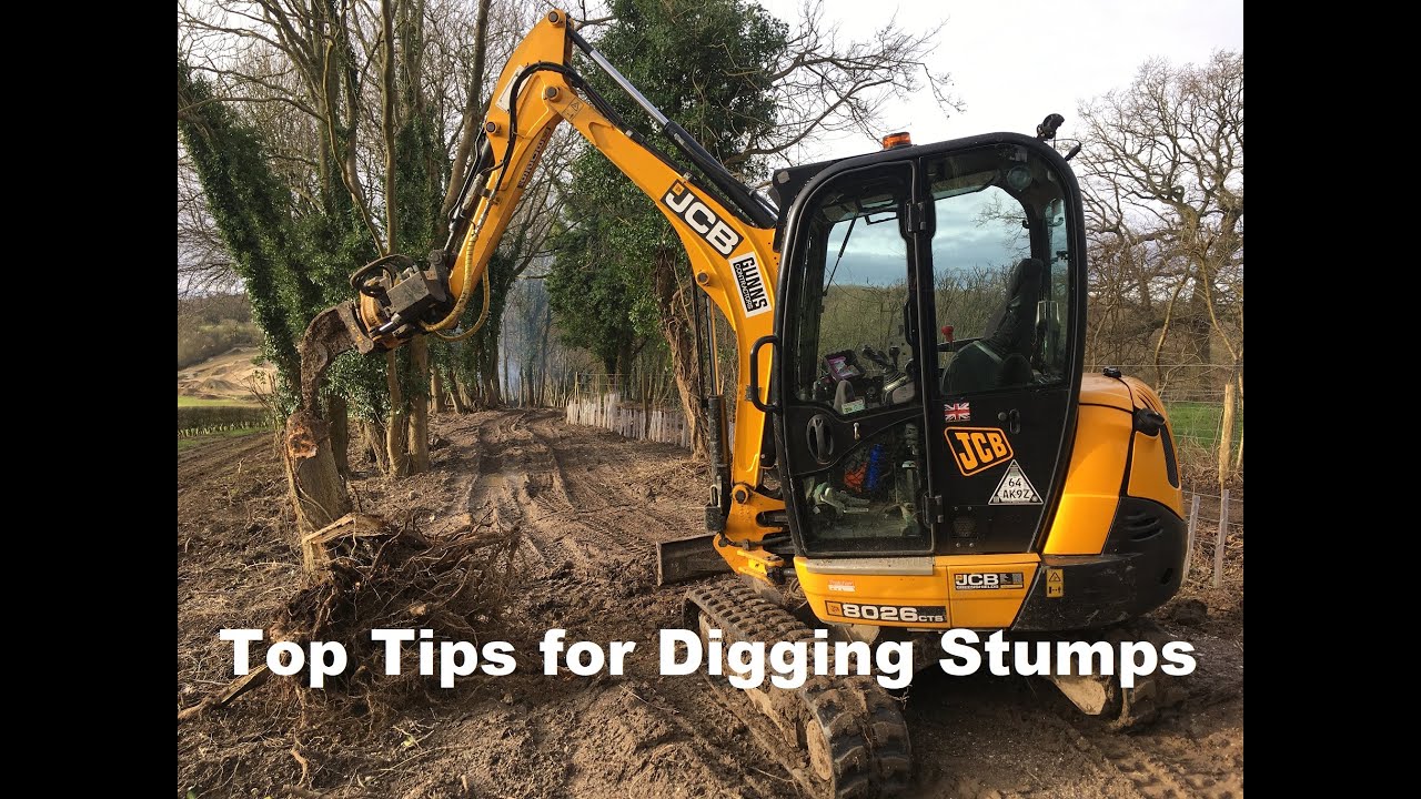 Tips for Digging Tree Stumps - YouTube