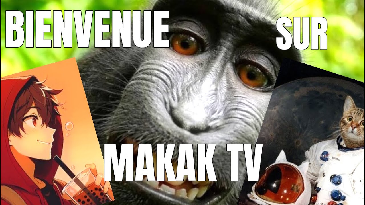 Bienvenue sur Makak TV ! - YouTube
